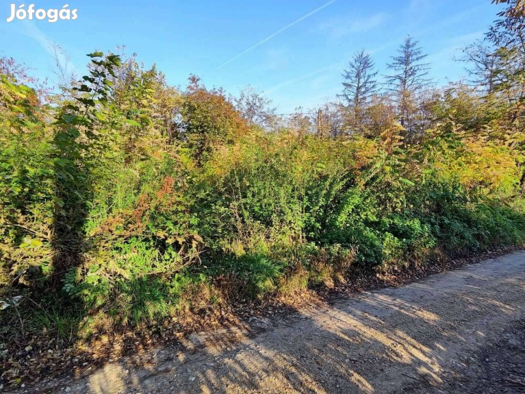 Eladó Miskolc Magashegyen, kert" megnevezésű, 743 m2-es telek - Miskolc ...