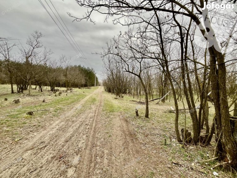 Kecskeméti eladó 2878 nm-es telek - Kecskemét, Telek, föld - Jófogás ...