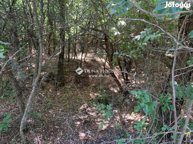 Pákozdi eladó 1968 nm-es telek - Pákozd, Telek, föld - Jófogás Ingatlan