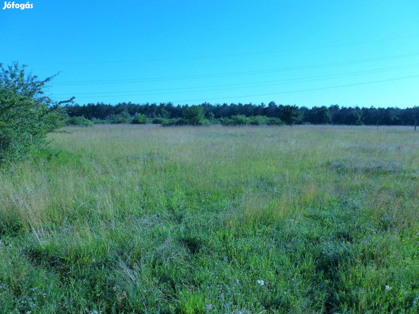Balaton Felvidék Tapolca Külterületi telek eladó - Raposka, Tapolca ...