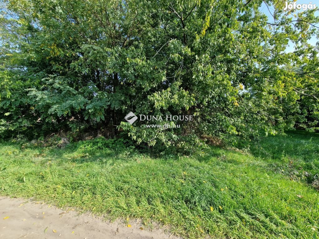 Eladó 1010 nm-es telek Alap - Alap, Fejér - Telek, föld