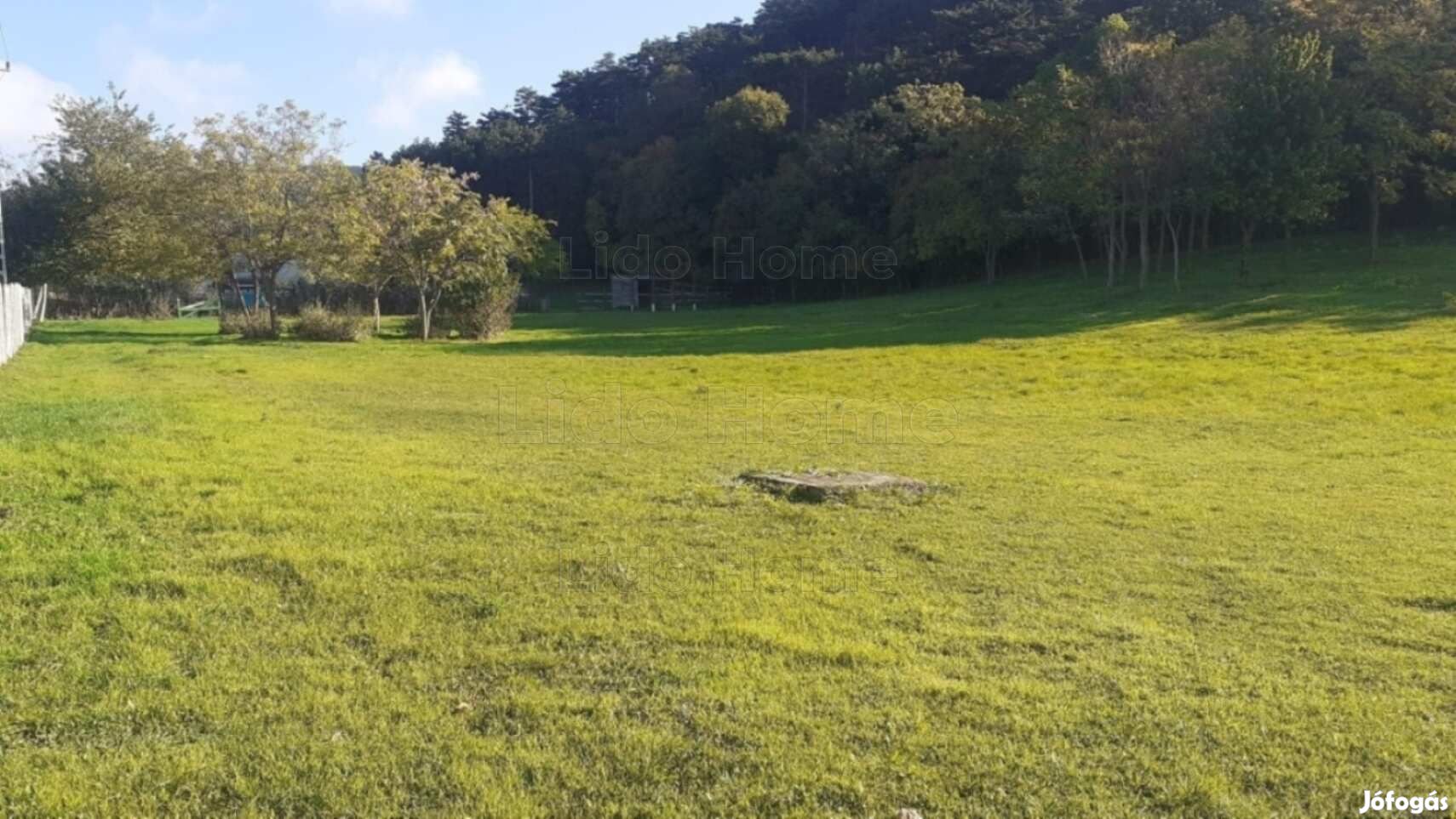 Vonyarcvashegyen erdő melletti telek eladó - Vonyarcvashegy, Telek ...