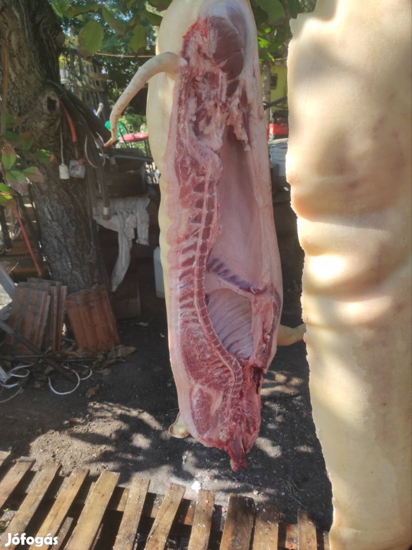 sertés hasítva - Bordány, Hús, hal - Jófogás