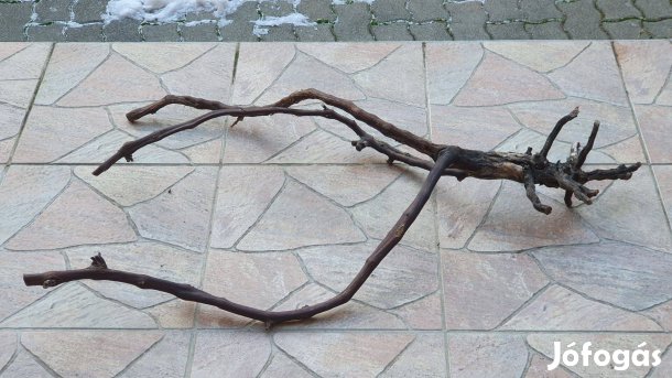 Eladó terrárium - XX. kerület, Hüllőknek - Jófogás